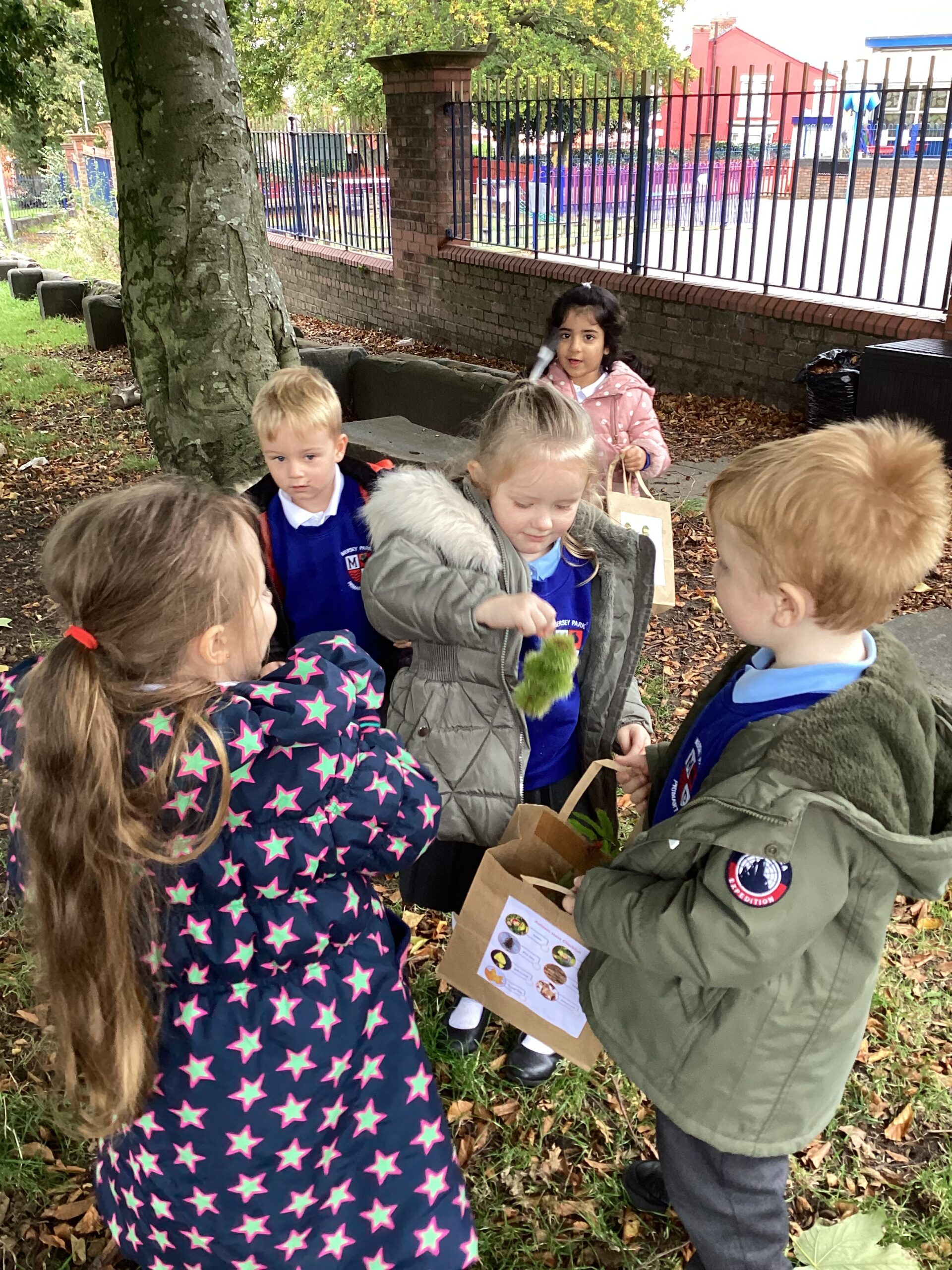 Oracy - Mersey Park Primary School