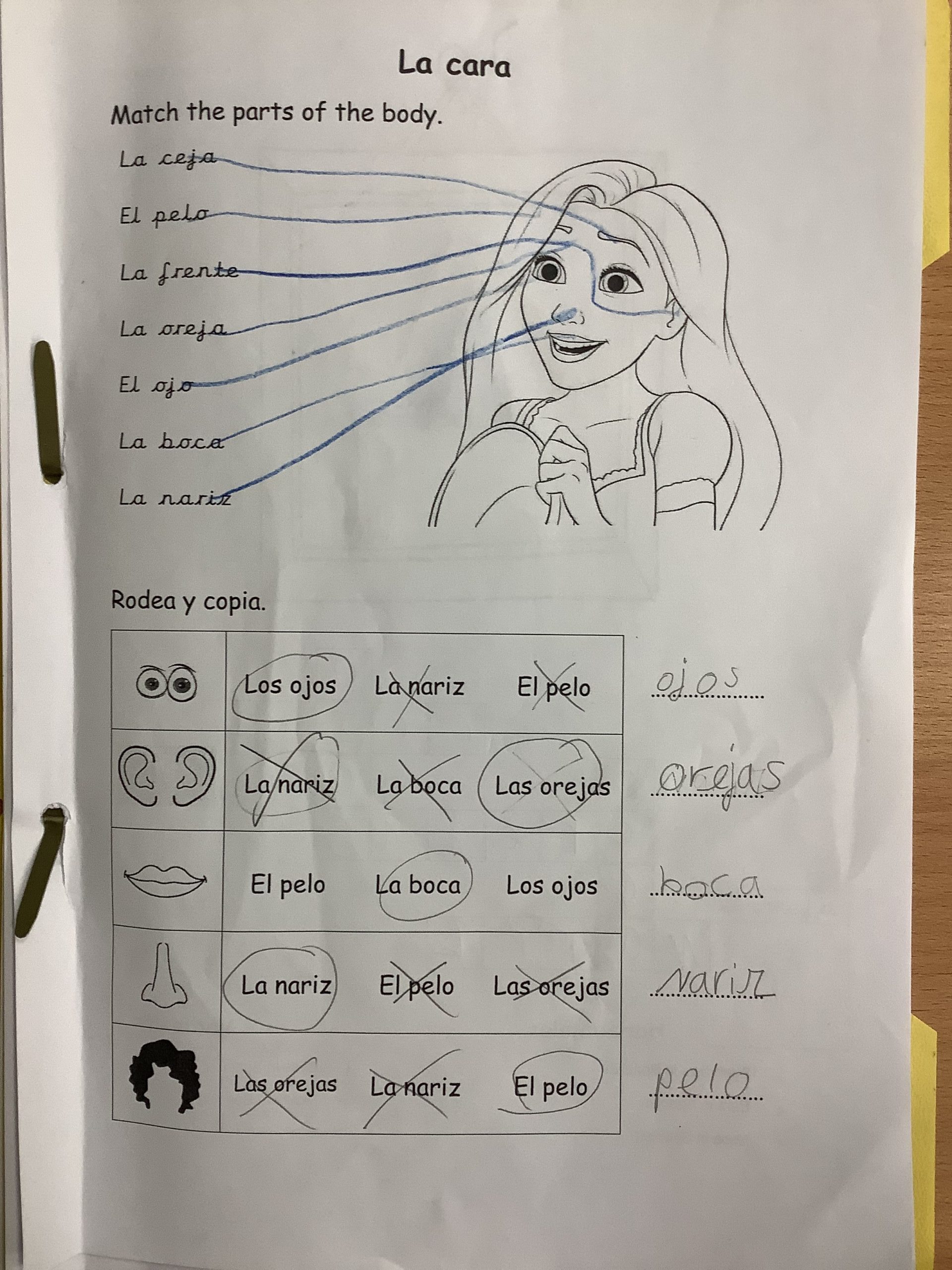 Spanish - Mersey Park Primary School